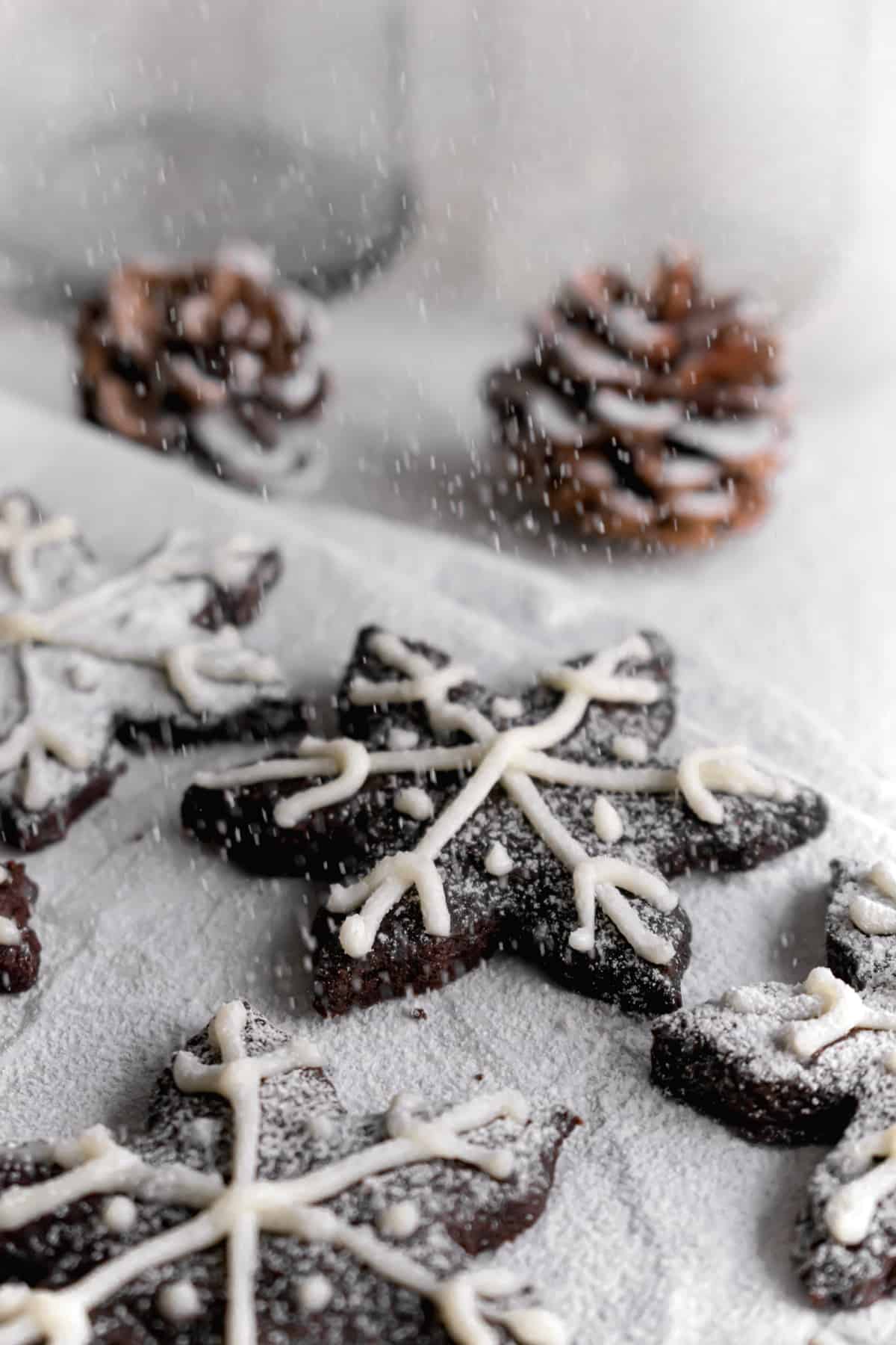 Chocolate Snowflake Cookies - ThatBakeBlog